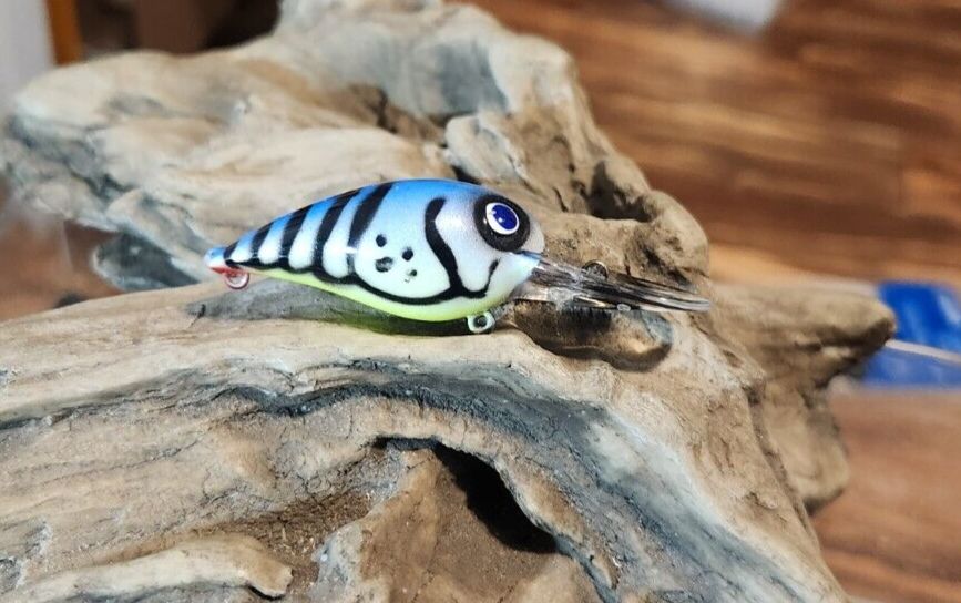 custom painted Wiggle wart crankbait (BLUE CRAW ) | eBay