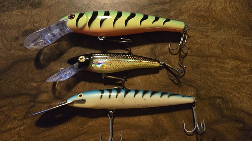 Musky Crankbaits Rapala Magnum Musky Mania Ernies Lure Lot Great ...