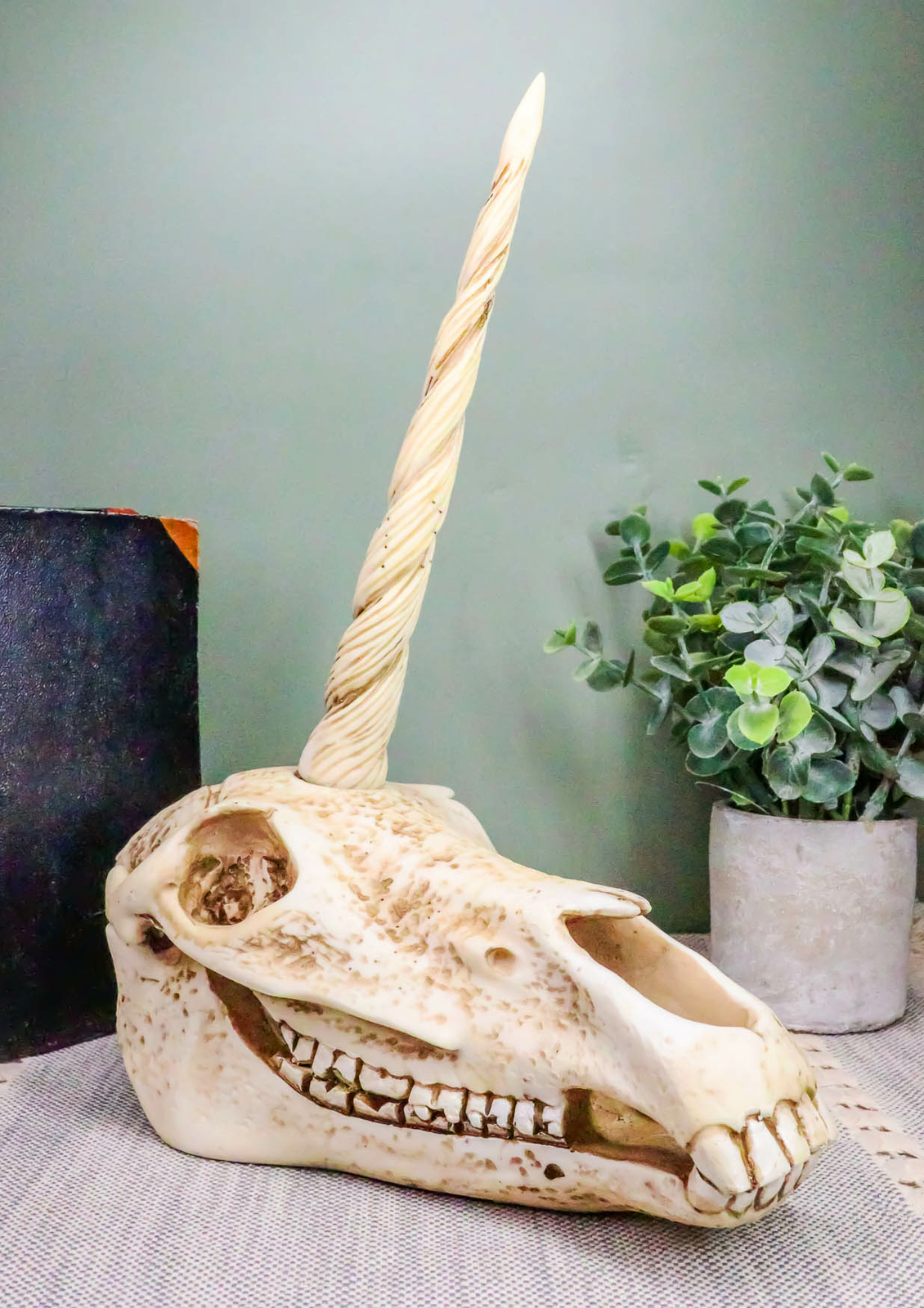 Ebros Fossil Unicorn Skull Rare Mythical Phantom Creature Skeleton ...