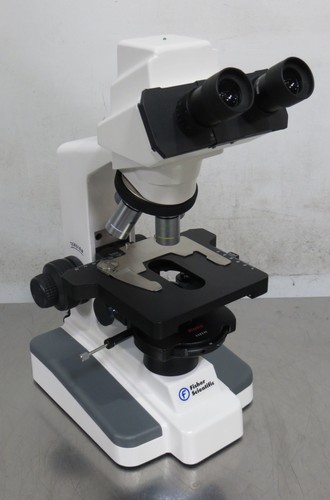 T199771 Fisher Scientific B Series Phase Contrast Microscope w/ Motic ...