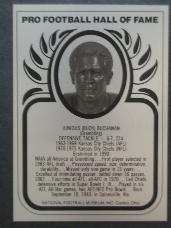 Pro Football Hall of Fame Metal Metallic Bust Cards Mint Aluminum - NFL ...