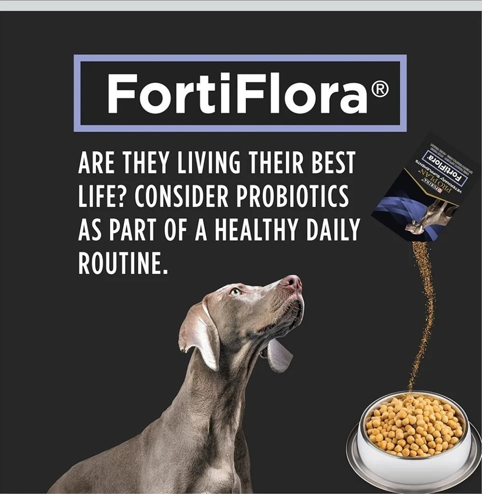 Purina Pro Plan Veterinary Supplements Fortiflora Powdered Dog ...