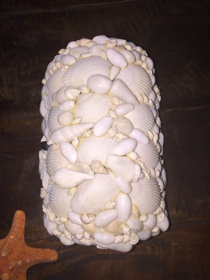 SEASHELL Box Jewelry Memory Beach Cottage Decor | eBay