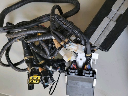 Yamaha 6x6 Fly By Wire Electronic Control | eBay