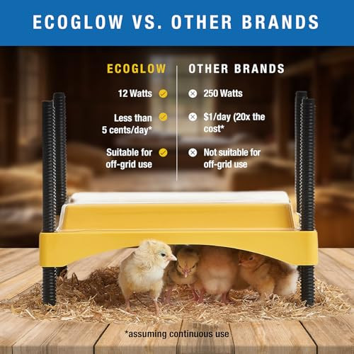 Brinsea Ecoglow Safety 600 Chick or Duckling Brooder, Adjustable Height ...