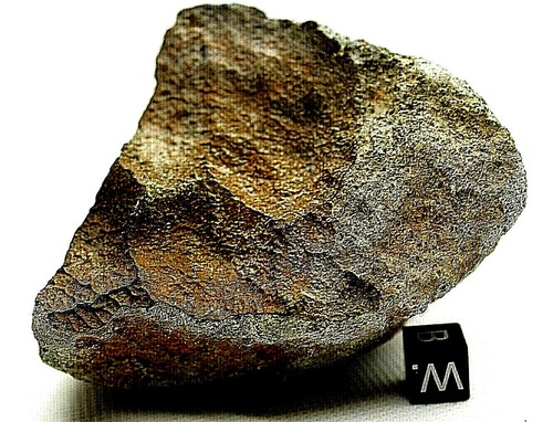 Classified Achondrite meteorite NWA 12513 fresh monomict gabbroic ...