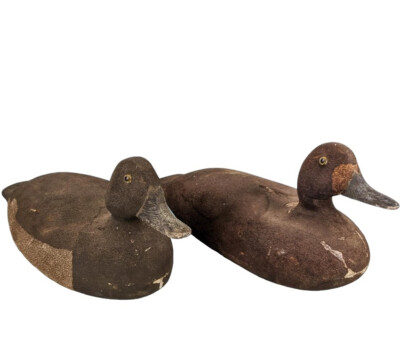 Primitives - Salem Collection