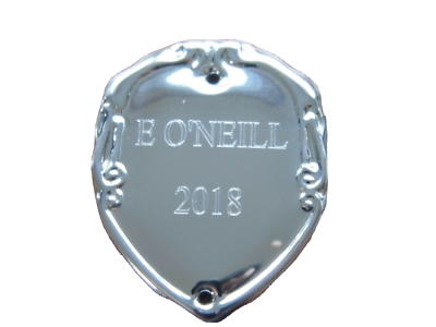 Trophy Side-Shield, Silver-Chrome, With-Free-Engraving, Trophy Annual ...