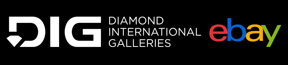 DIG Auctions | eBay Stores