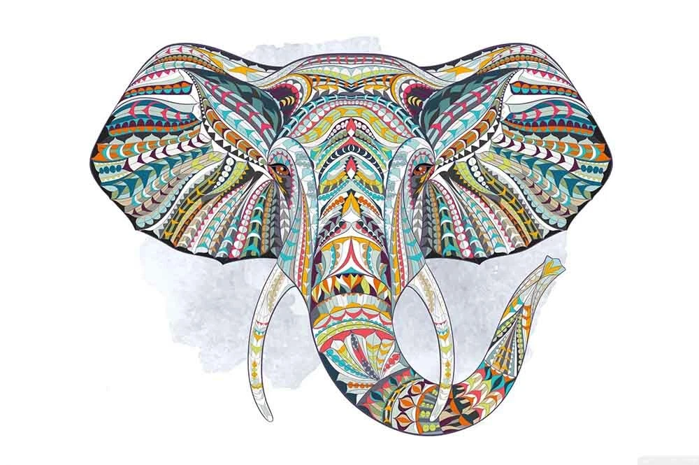 Abstract Elephant Drawings