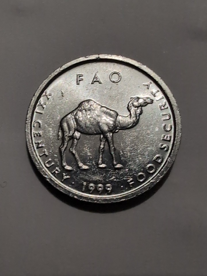 10 Shilling Coin Somalia | eBay Australia