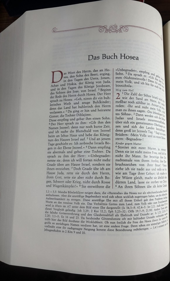 The Gutenberg Bible (1985) – Pattloch Verlag – Facsimile Edition | eBay