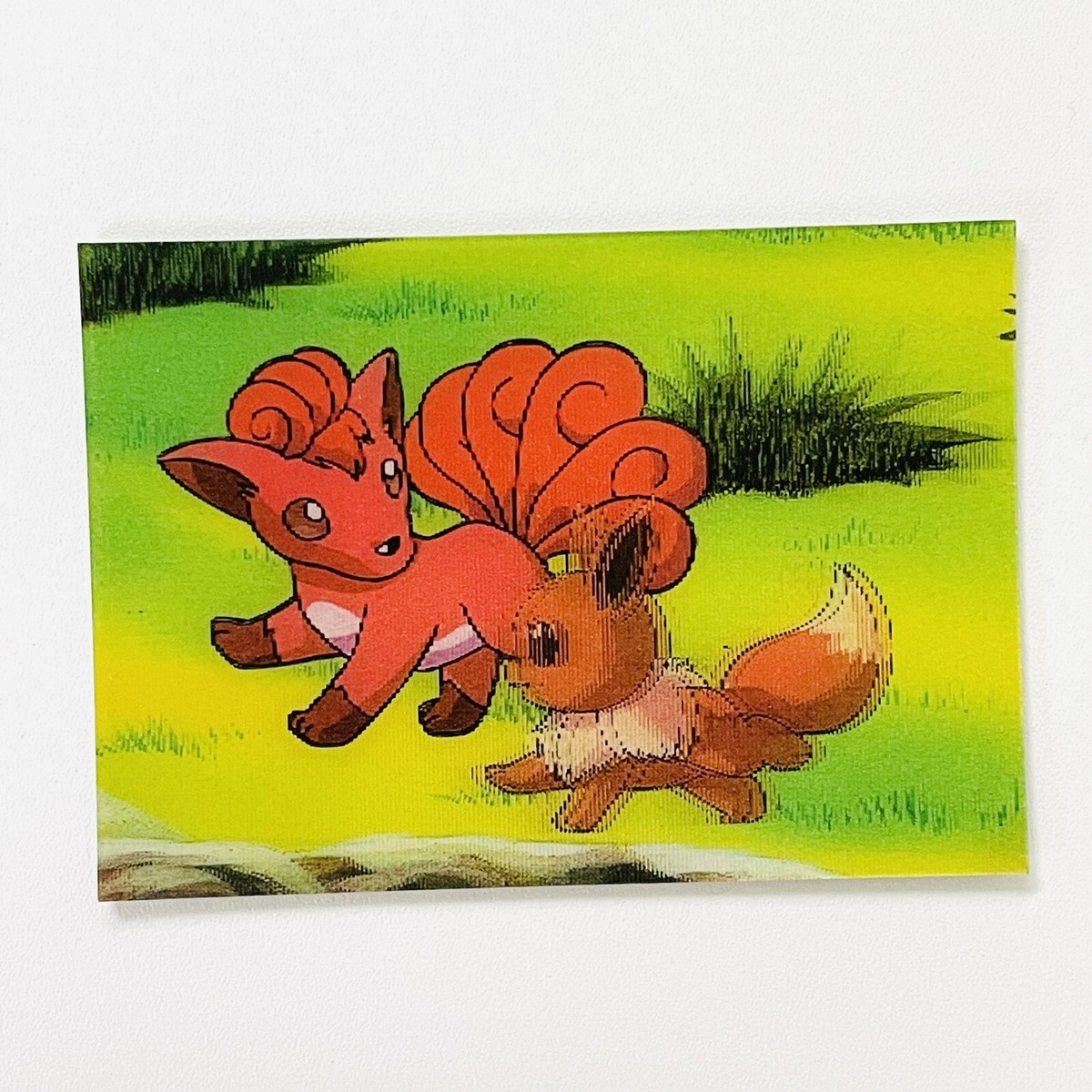 Eevee And Vulpix
