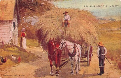 Horses Pulling Hay Wagon on 1906 PC-Bringing Home The Harvest-Landscape ...