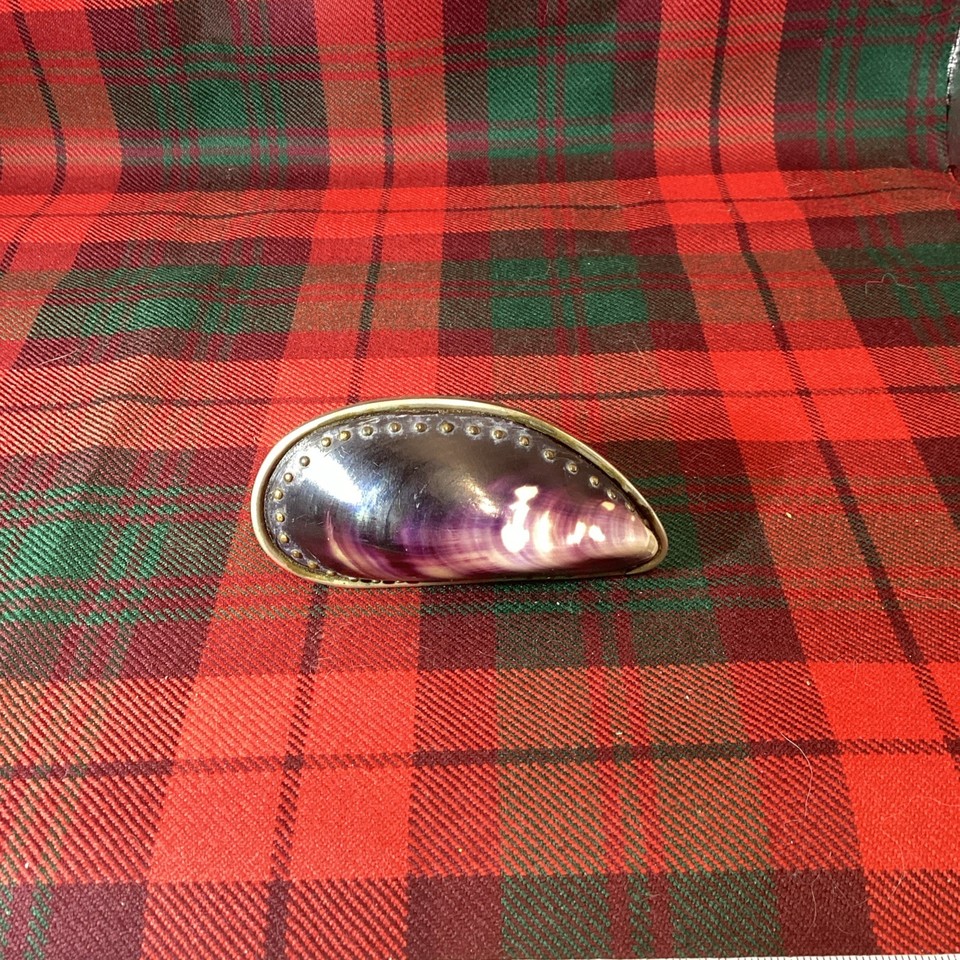 Stunning Mussel Shell Snuff Box. Novelty 9cm wide | eBay UK