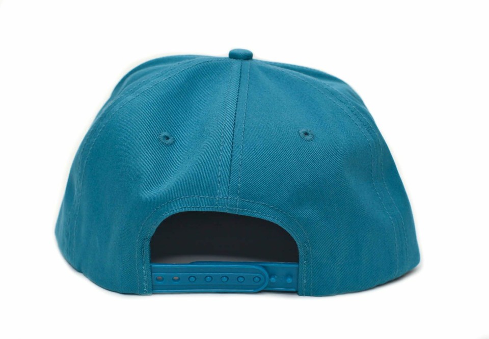 Dipper Aqua Pine Flat Hat Embroidered Unisex- Adult Gravity Falls Cap ...