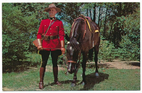 RCMP Mountie and His Horse Royal Canadian Mounted Police Red Serge ...