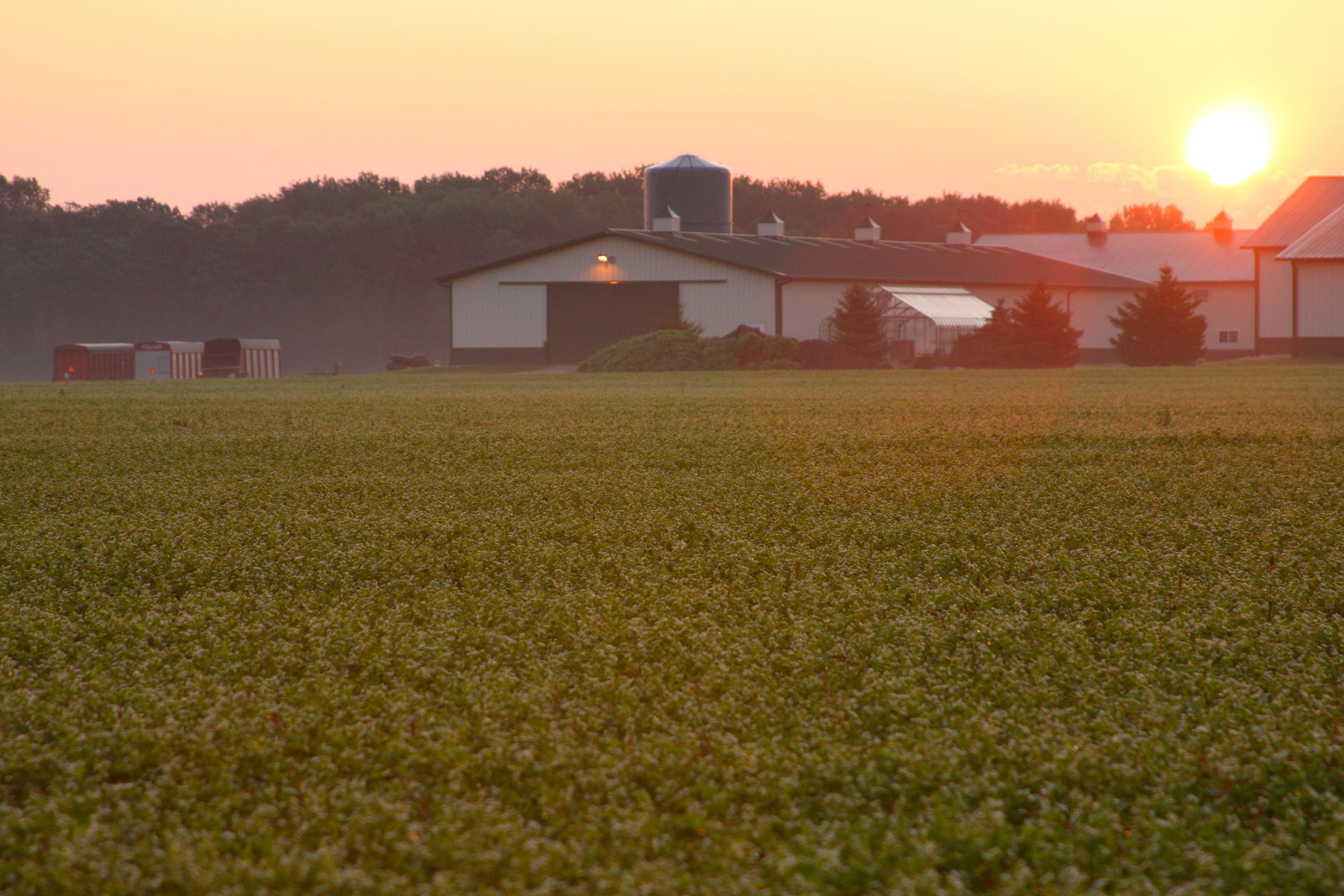 Standard Process Orchex Whole Food Nervous System Supplements, 150 ...