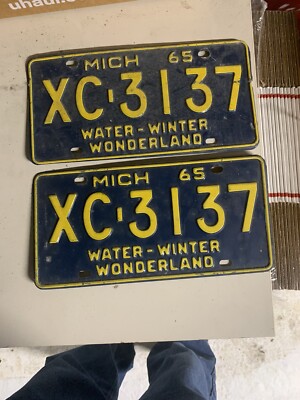 1965 Michigan License Plate Tag B189 | eBay