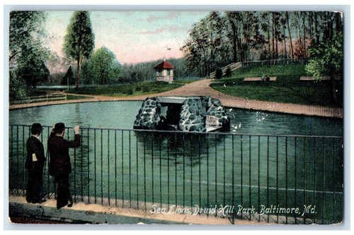 1908 Sea Lions Druid Hill Park Baltimore Maryland MD Antique Vintage ...