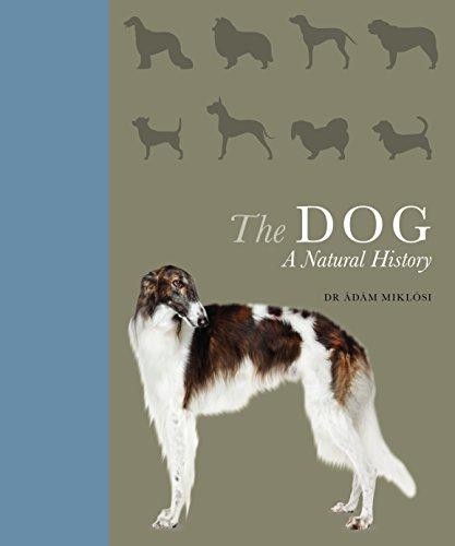 The Dog: A natural history - Miklósi, Ádám | eBay