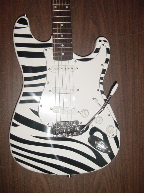 S Style Electric Guitar Zebra Huntington 6 String With Gig Bag for sale ...