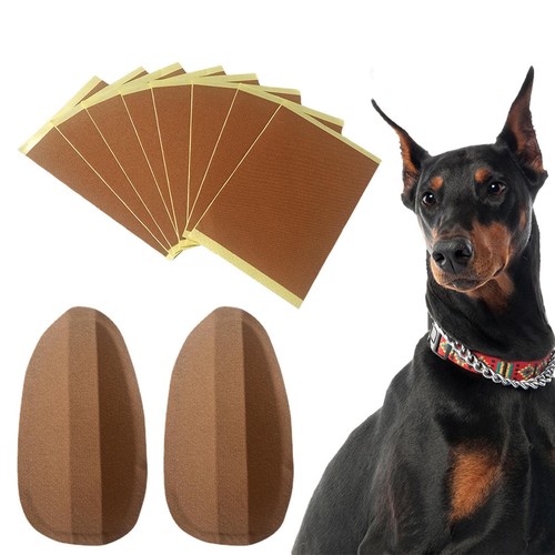 Dog Ear Stand Up Support Fixed Doberman Dog Ear Posting Kit Dog Ear ...