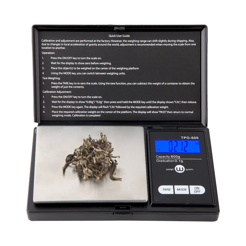 Digital Pocket Scale 600G x 0.1G, Jewelry/Food/Kitchen Gram Scale ...