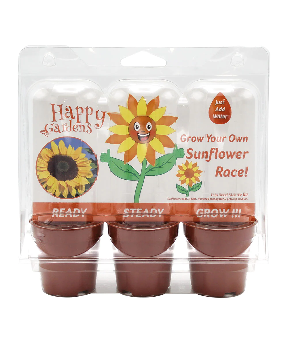 Grow Your Own Sunflower Race Set Kit Fun Garden Outdoor Activity ...