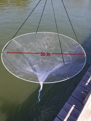 Folding Collapsible Pier and Bridge Ballyhoo bait Fish Landing Net-50 ...