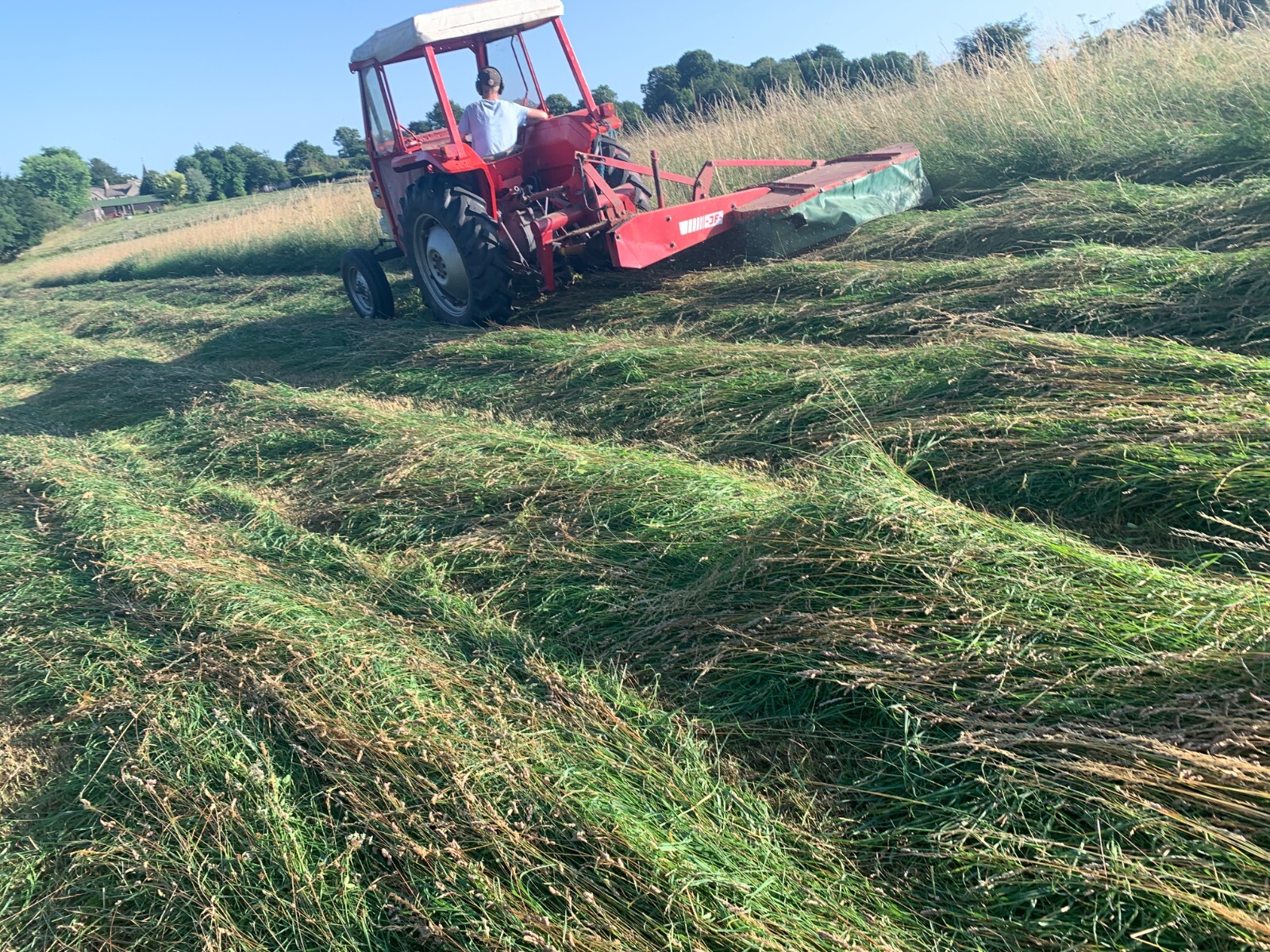 small hay bales | eBay UK