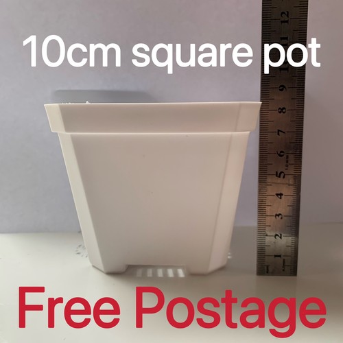 10cm Extra Thick White Plastic Square Flower Garden Pots Succulent ...
