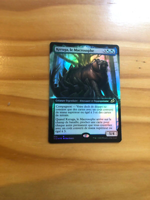 Mtg Ikoria, Keruga the Macrosage Extended Art FOIL French NM | eBay