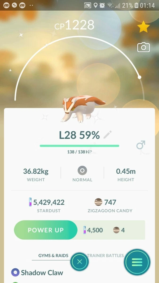 Shiny Linoone