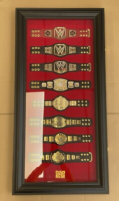 WWE Raw 25 Years Championship Collection Mini Belt Display Set New | eBay