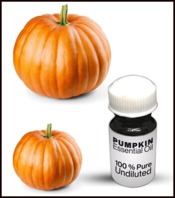Pumpkin Essential Oil 100% Pure Undiluted (10ML-500ML) | eBay