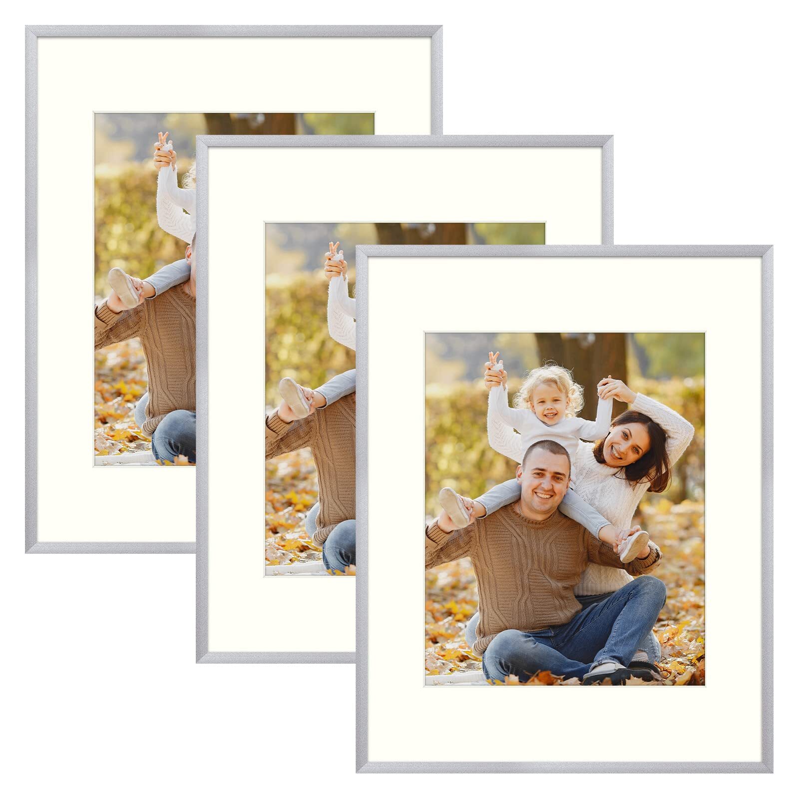Set of 3 Aluminum Metal Picture Frames Wall Display for Art Prints ...