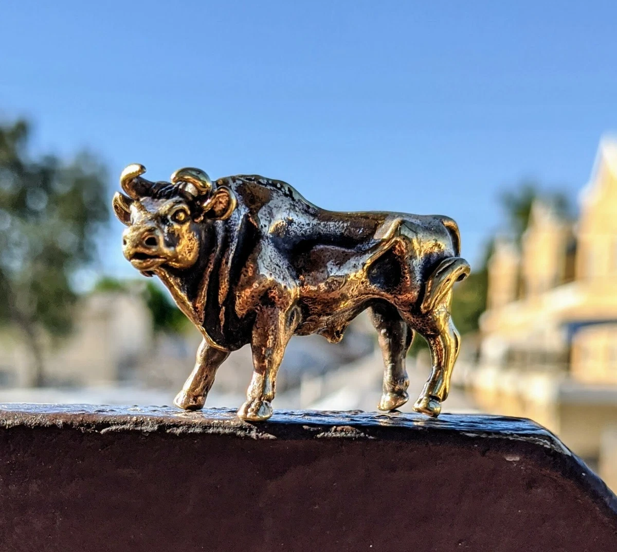 Smallest Bull In The World