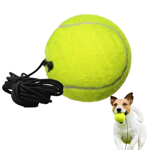 Tennis Training Ball With String Trainer Rebound Balls For Self ...