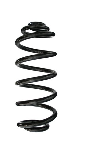 Rear Coil Spring for 2010-2012 BMW X5 3.0L L6 GAS DOHC | eBay