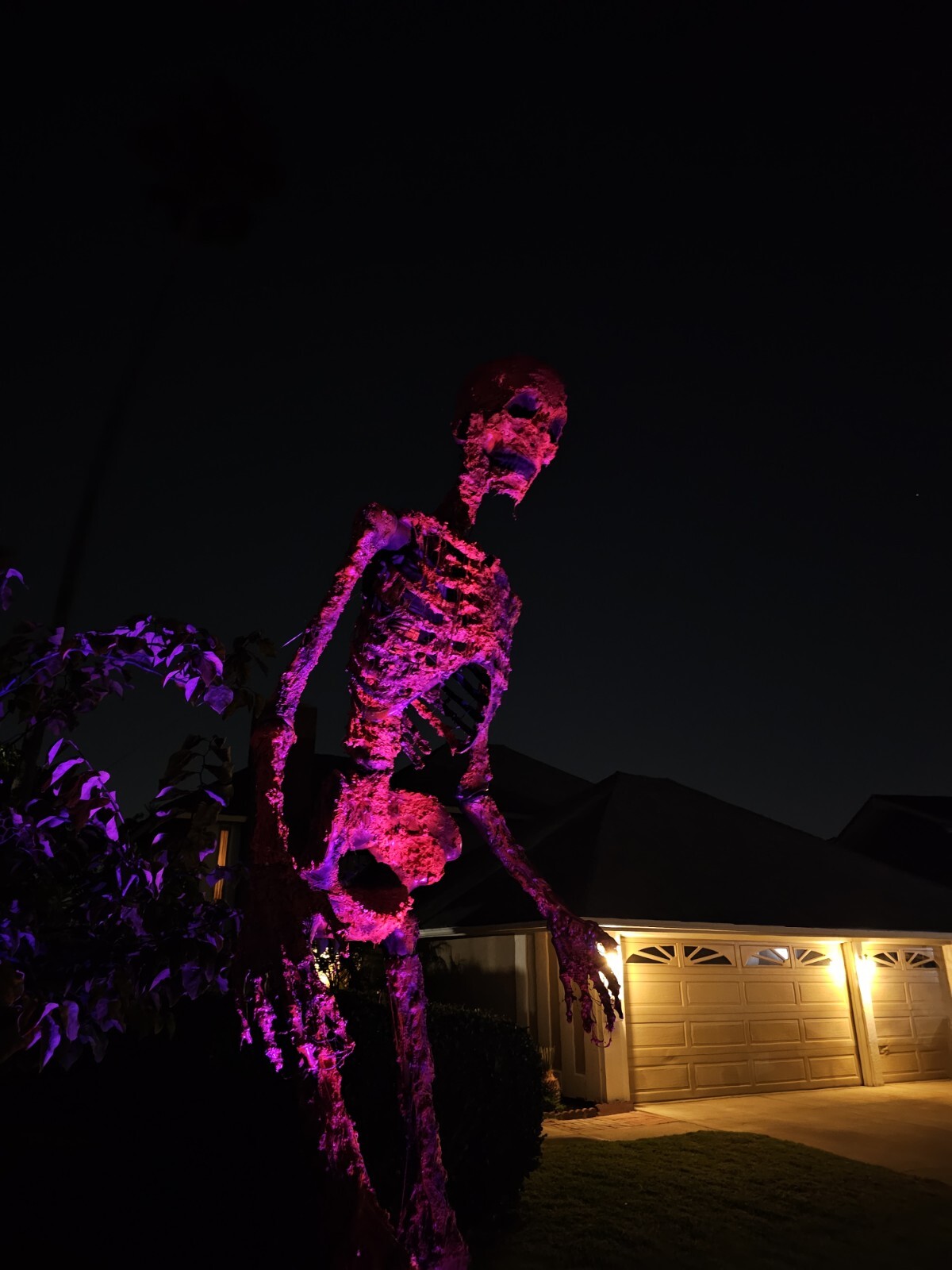 12 FT Home Depot Skeleton With Flesh Rot | eBay