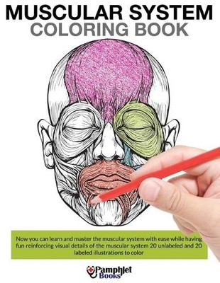 Pamphlet Books Muscular System Coloring Book (Tascabile) | eBay