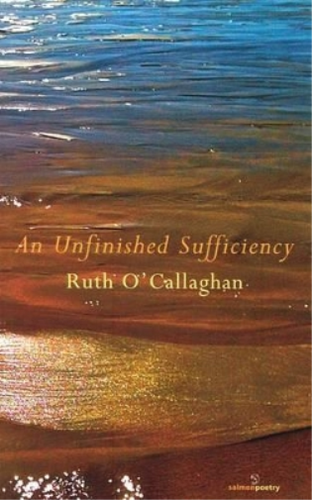 Ruth O'Callaghan An Unfinished Sufficiency (Poche) 9781910669044 | eBay