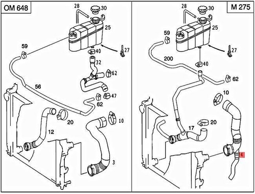 Genuine MERCEDES C215 W215 W220 Coupe Sedan Top at radiator Hose ...