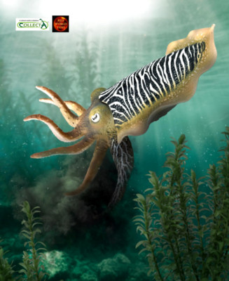 Common Cuttlefish Sealife Toy Model Figure by CollectA 80009 for ...