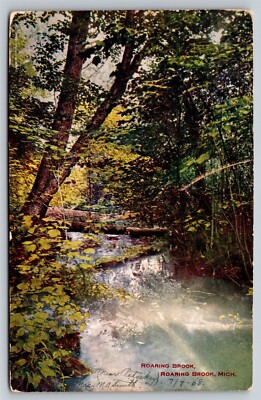 Michigan Roaring Brook Artist c.1908 Postcard, F25 | eBay Australia