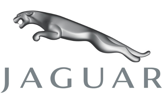 Jaguar F-Tempo X761 Serpentine Antriebsriemen Spannrolle C2D51409 Neu ...