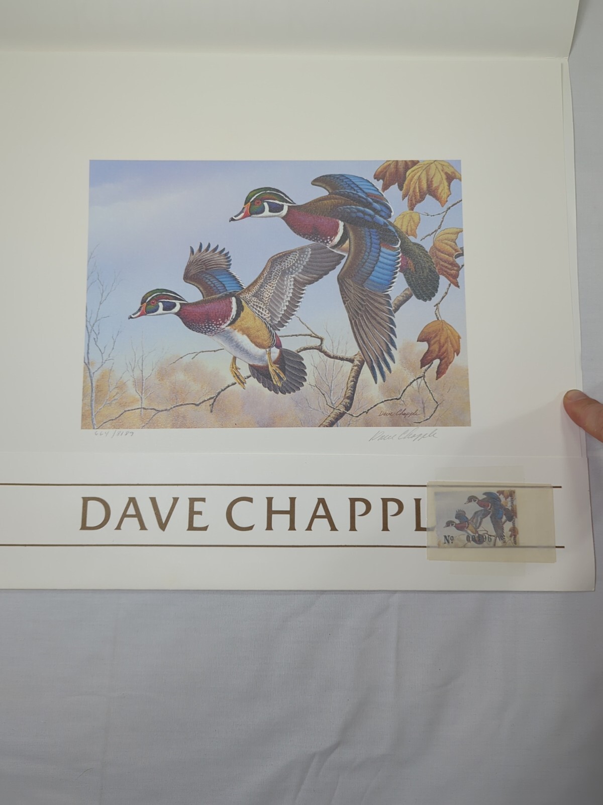 1986 Kentucky Duck Stamp Print by Dave Chapple #664/8189 Stamp And ...