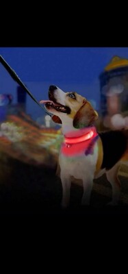 LED Adjustable Dog Collar Blinking Flashing Light Up Glow Pets Safety ...