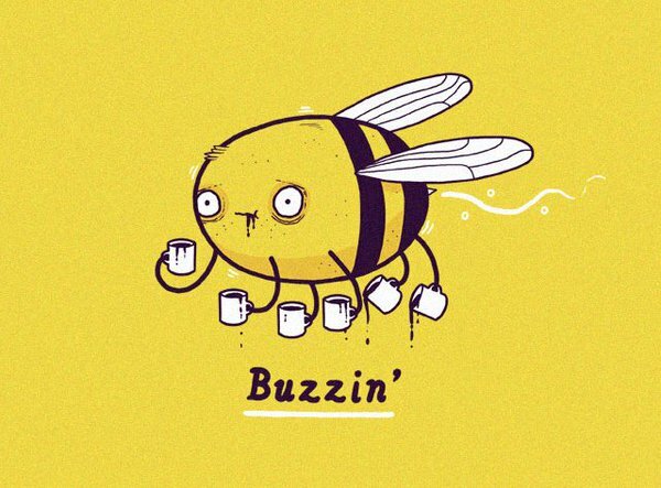 Buzzin Bumble Bee Drinking Coffee Caffeine High Sleep Nope MAGNET | eBay